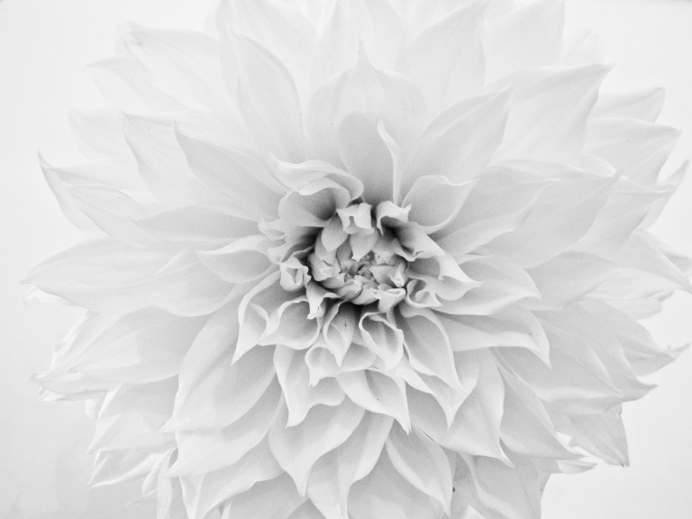 Anne & Mark's Art Party | Della Calfee